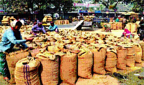 Fair News Service (FNS) | News Agency and Online News Protal in Bangladesh